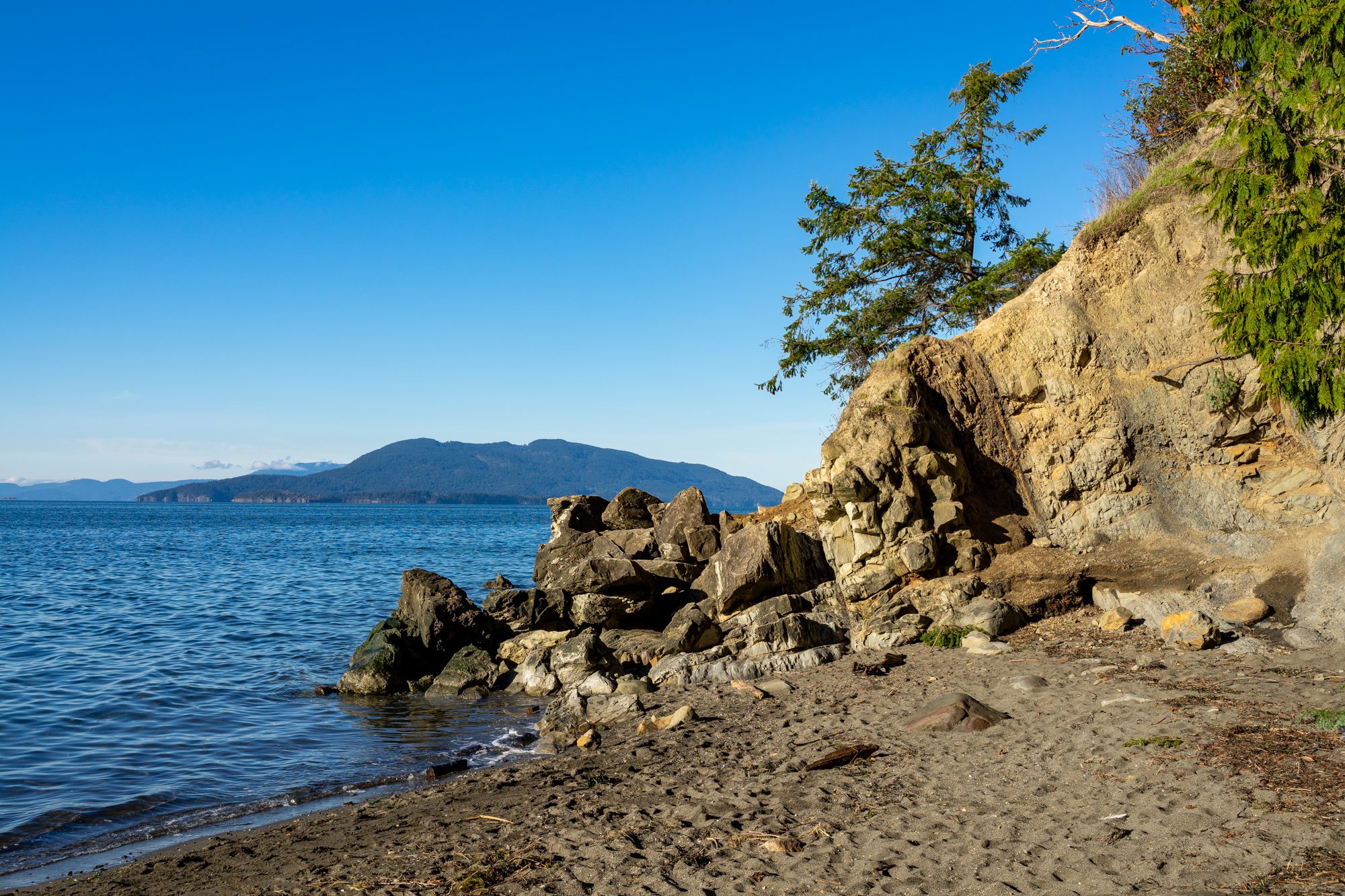 The Best Things to Do in Bellingham: A Weekend Guide