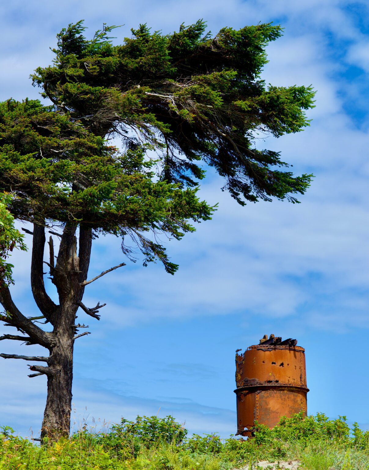 The 14 Best Things to Do in Port Townsend: A Complete Guide