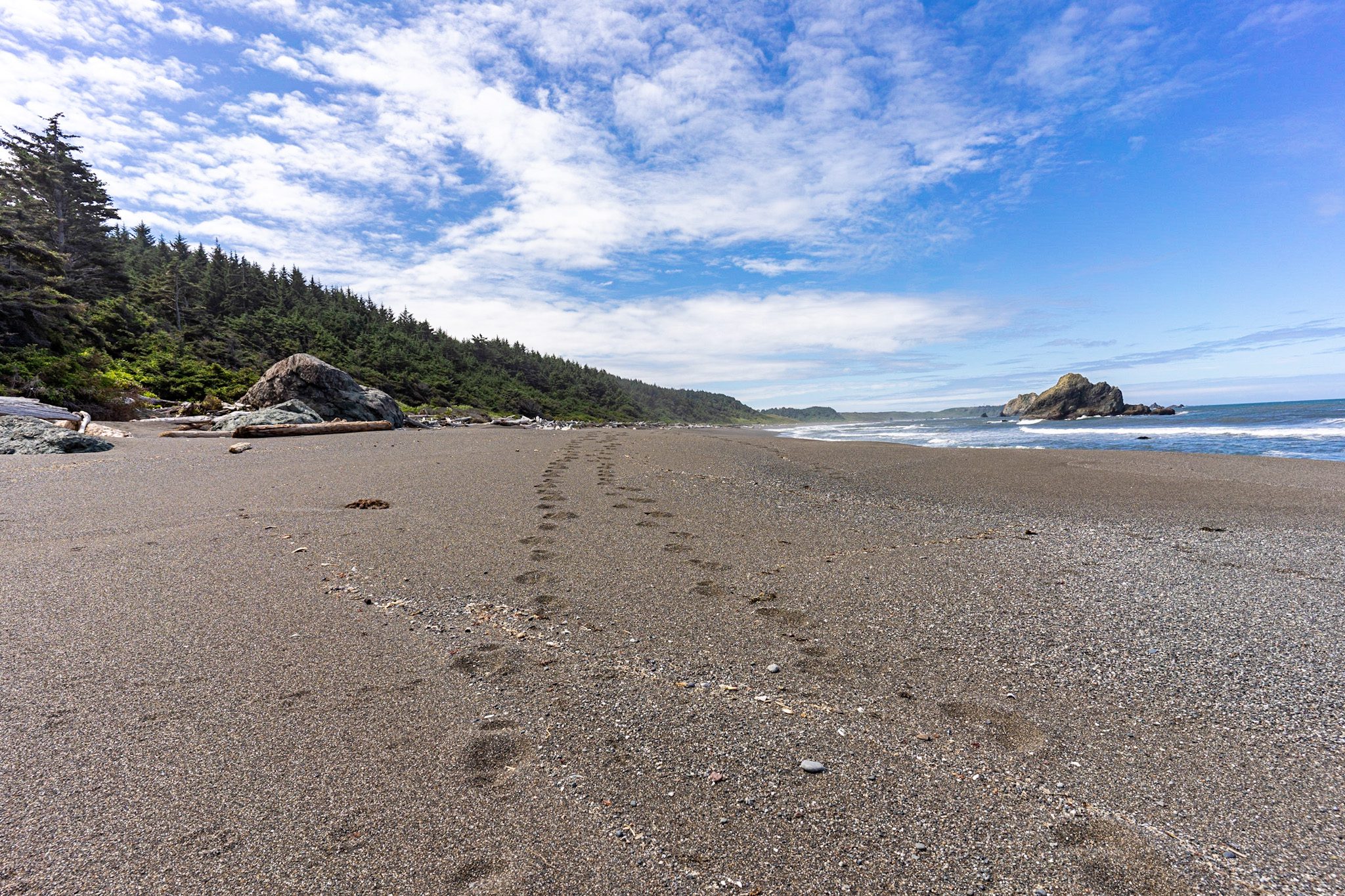 The 17 Best Hikes on the Oregon Coast: A Complete Guide