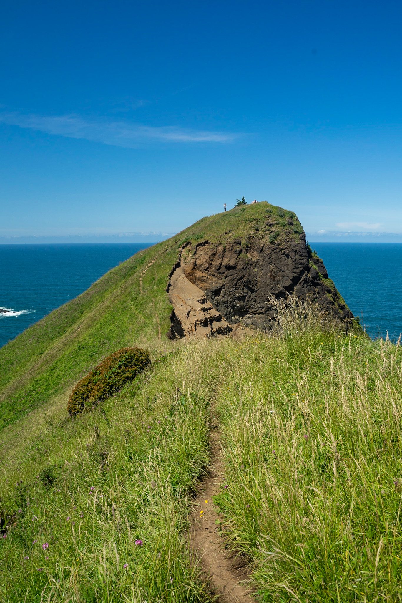 The 17 Best Hikes on the Oregon Coast: A Complete Guide