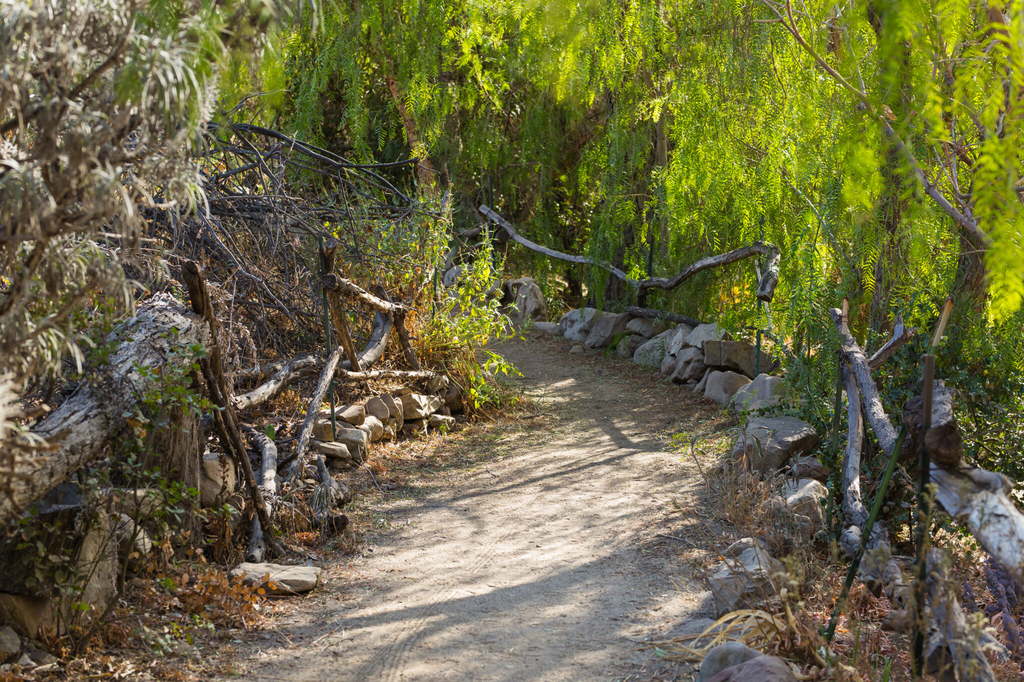 How to Plan a Perfect Day Trip to Ojai from Los Angeles