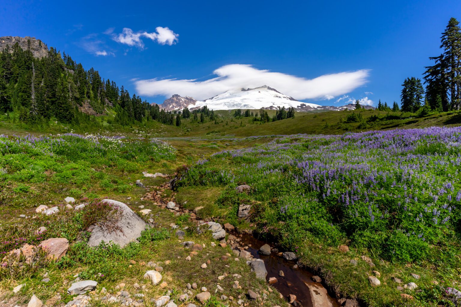 9 Incredible Hikes near Mt. Baker: A Complete Guide (2023)