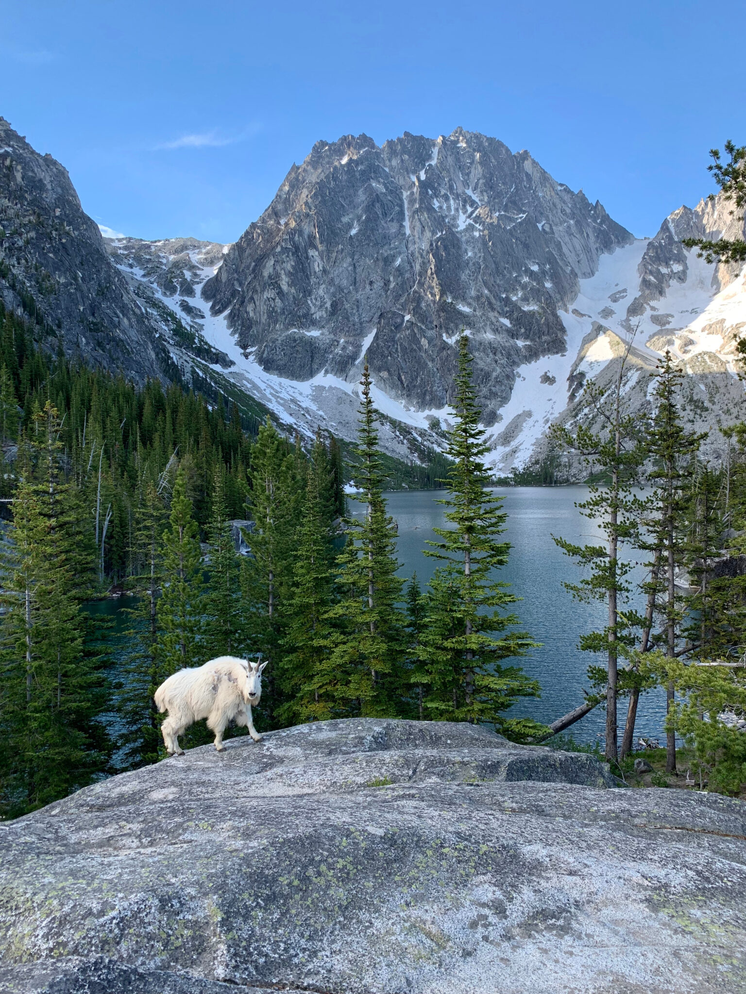 How to Hike the Colchuck Lake Trail: A Complete Trail Guide