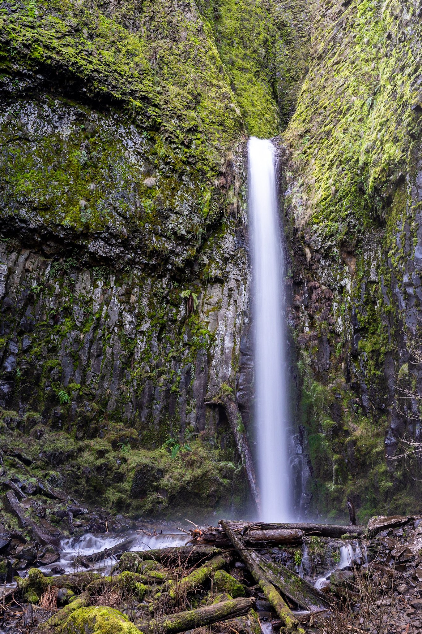 15 Spectacular Waterfalls In Oregon To Explore Now