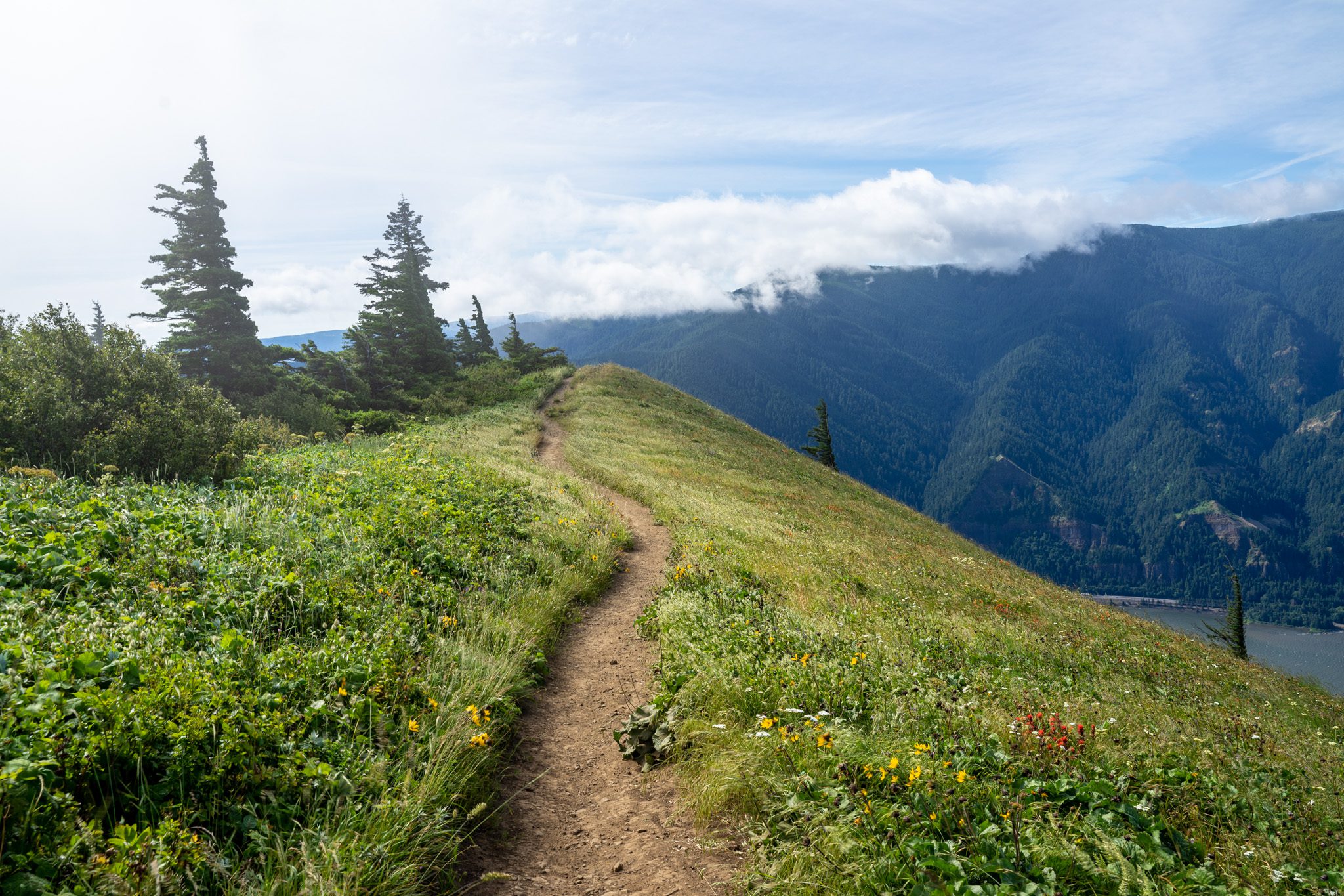 Steep Mountain Trail Oregon