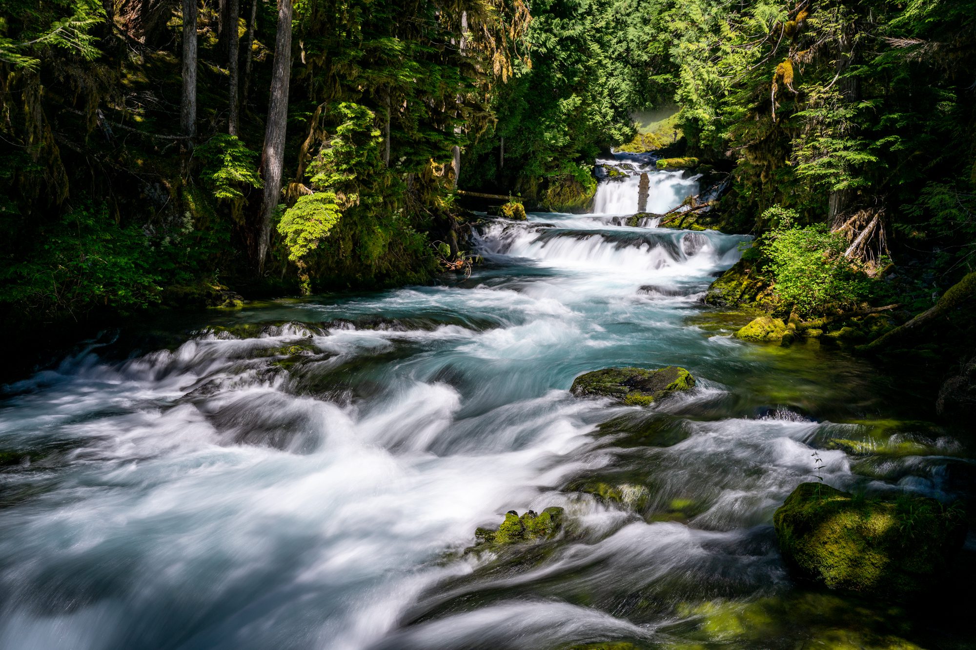 15 Spectacular Waterfalls In Oregon To Explore Now