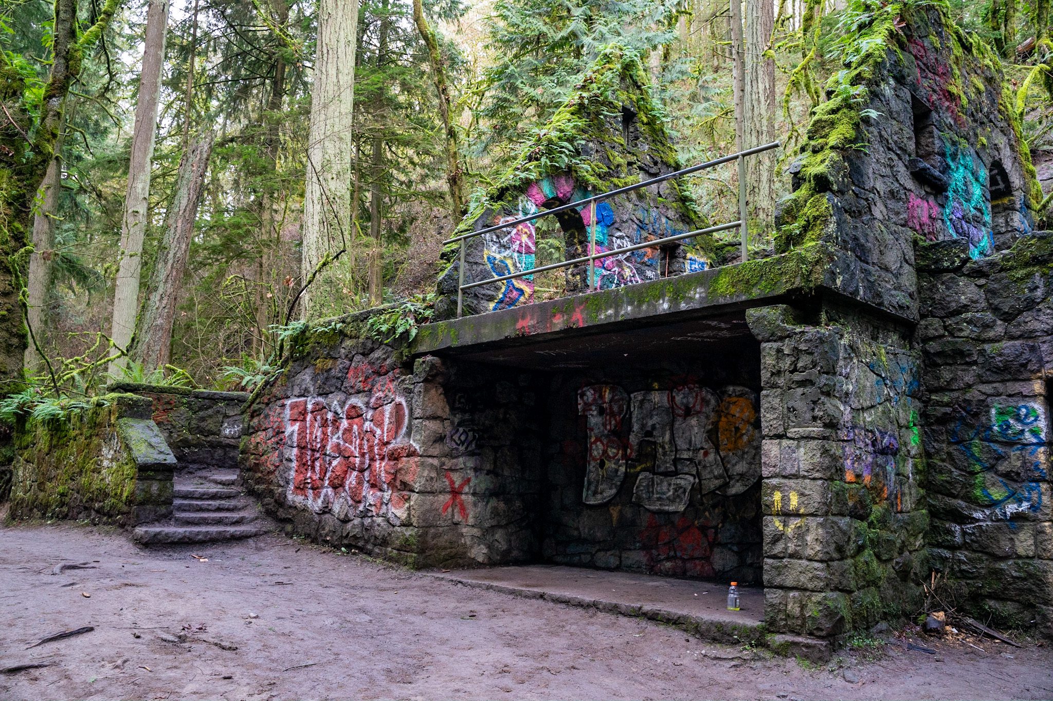 The Best of Forest Park in Portland, Oregon: Complete Guide