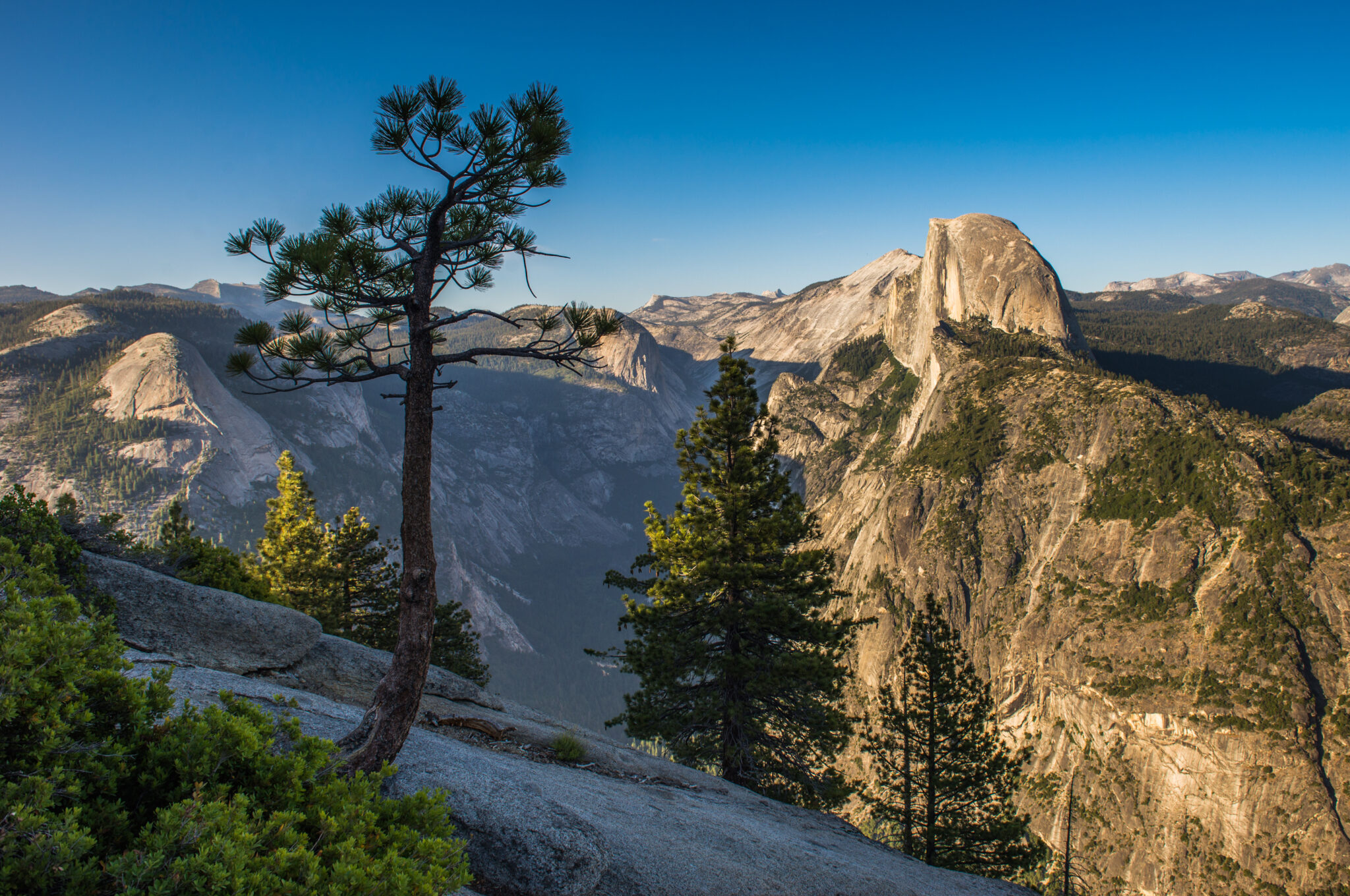 2 Days in Yosemite: How to Plan Your Yosemite Itinerary