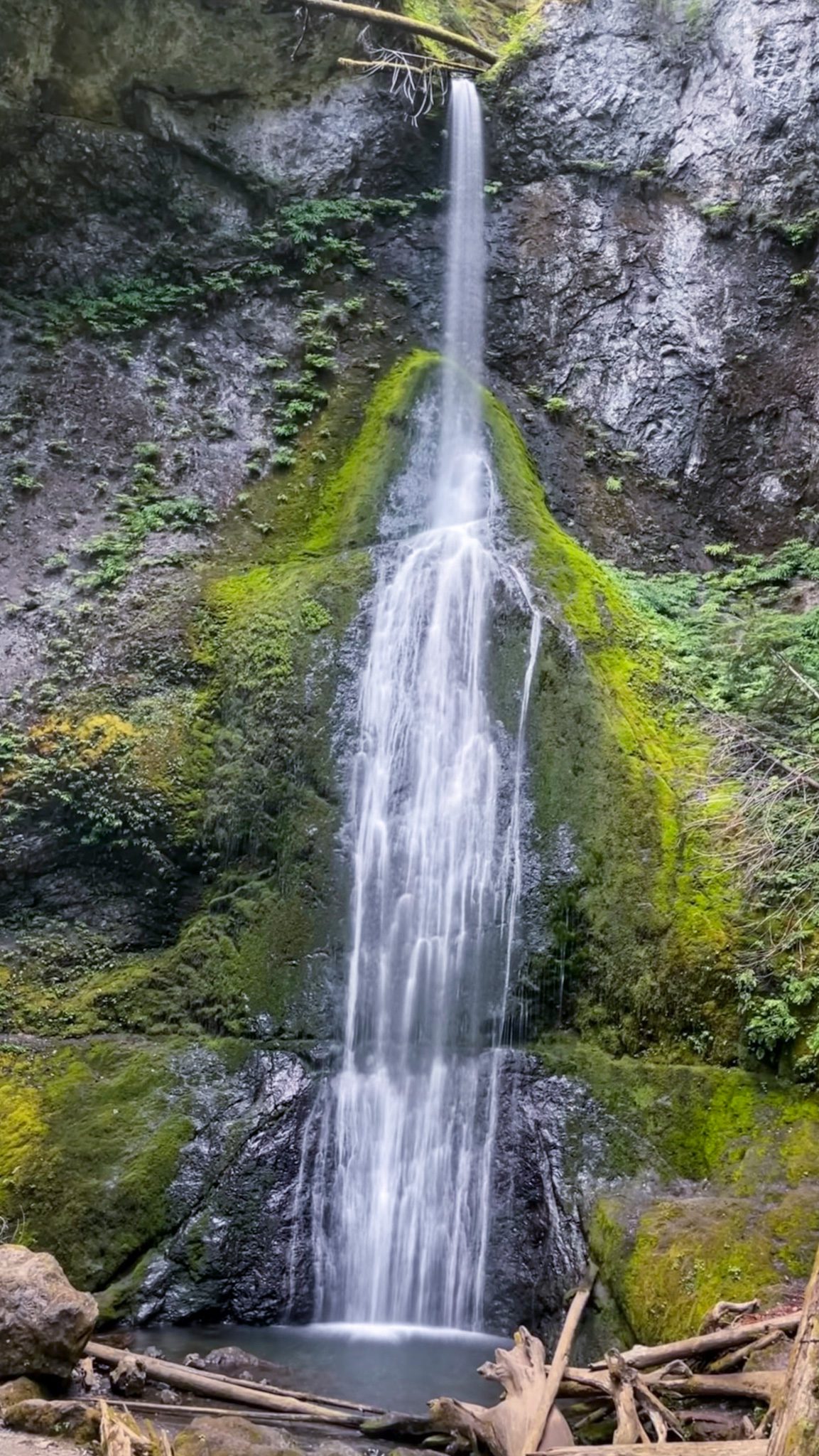 15 Incredible Waterfalls in Washington For Your Bucket List