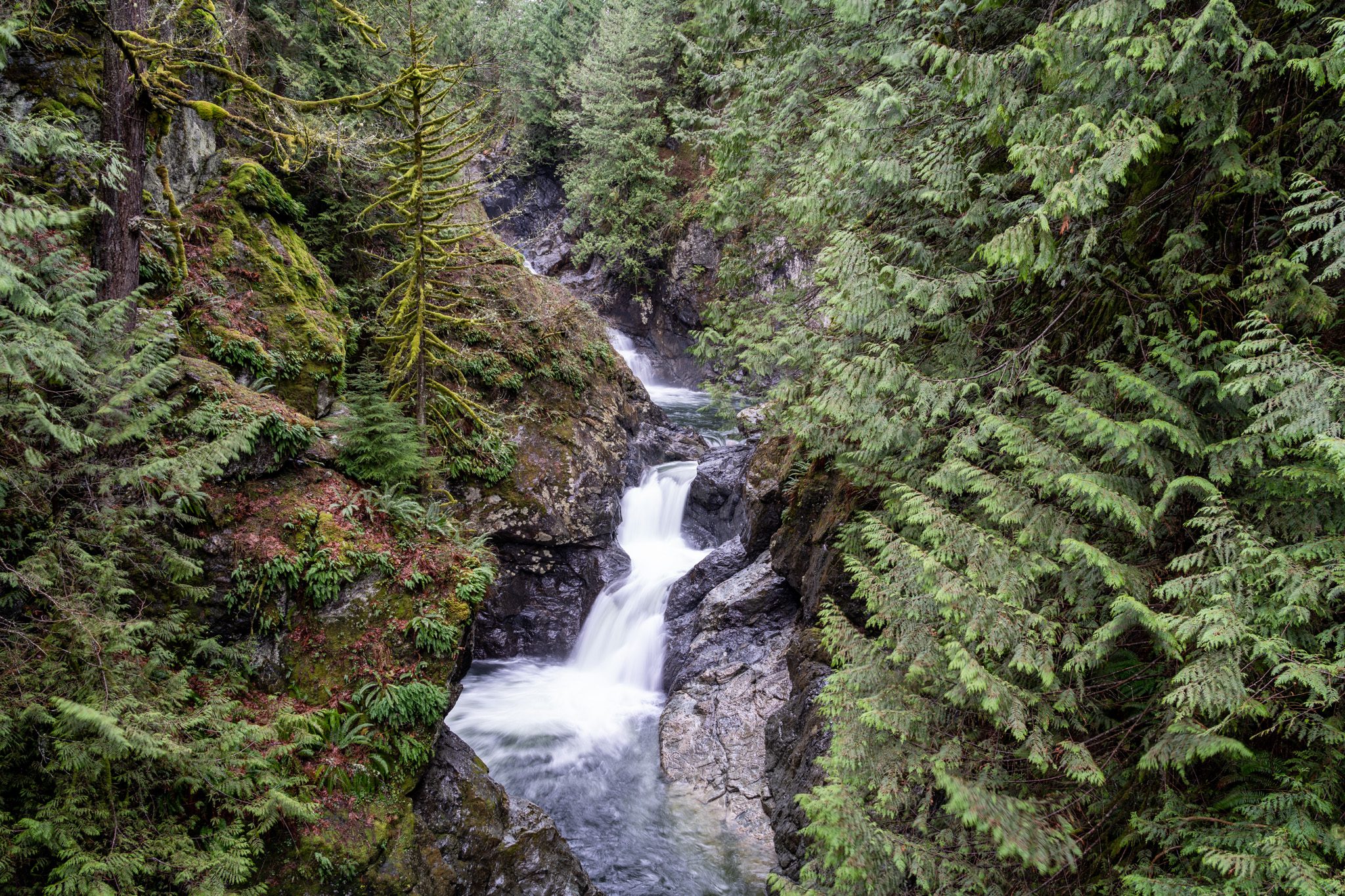 9 Picturesque Waterfalls near Seattle (2 Hours or Less)