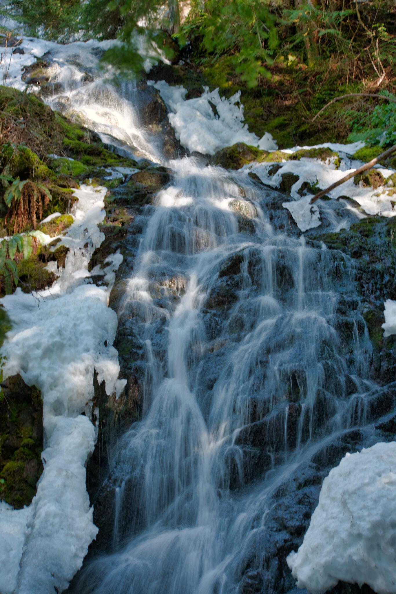 9 Picturesque Waterfalls near Seattle (2 Hours or Less)