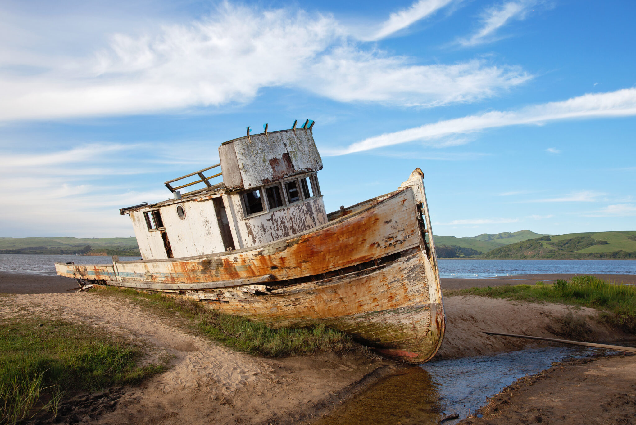 The Best Things to Do in Point Reyes: What to Do & See