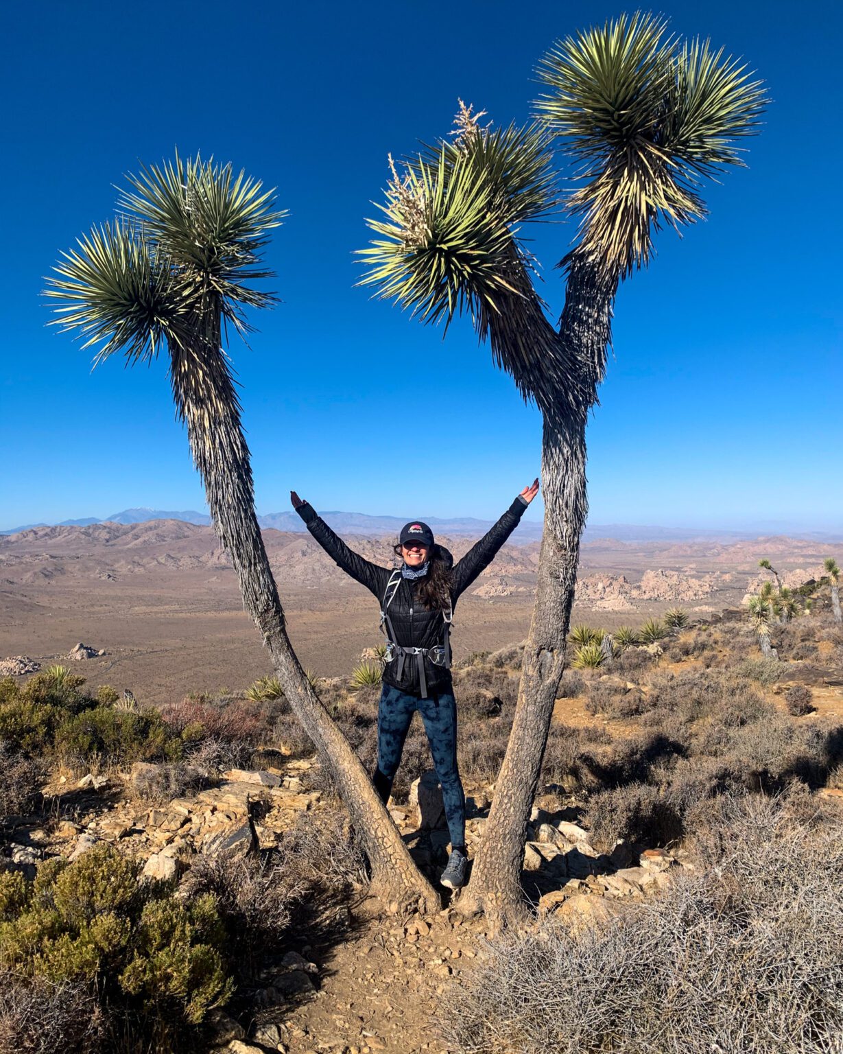 How to Plan an Amazing Joshua Tree Itinerary: Weekend Guide