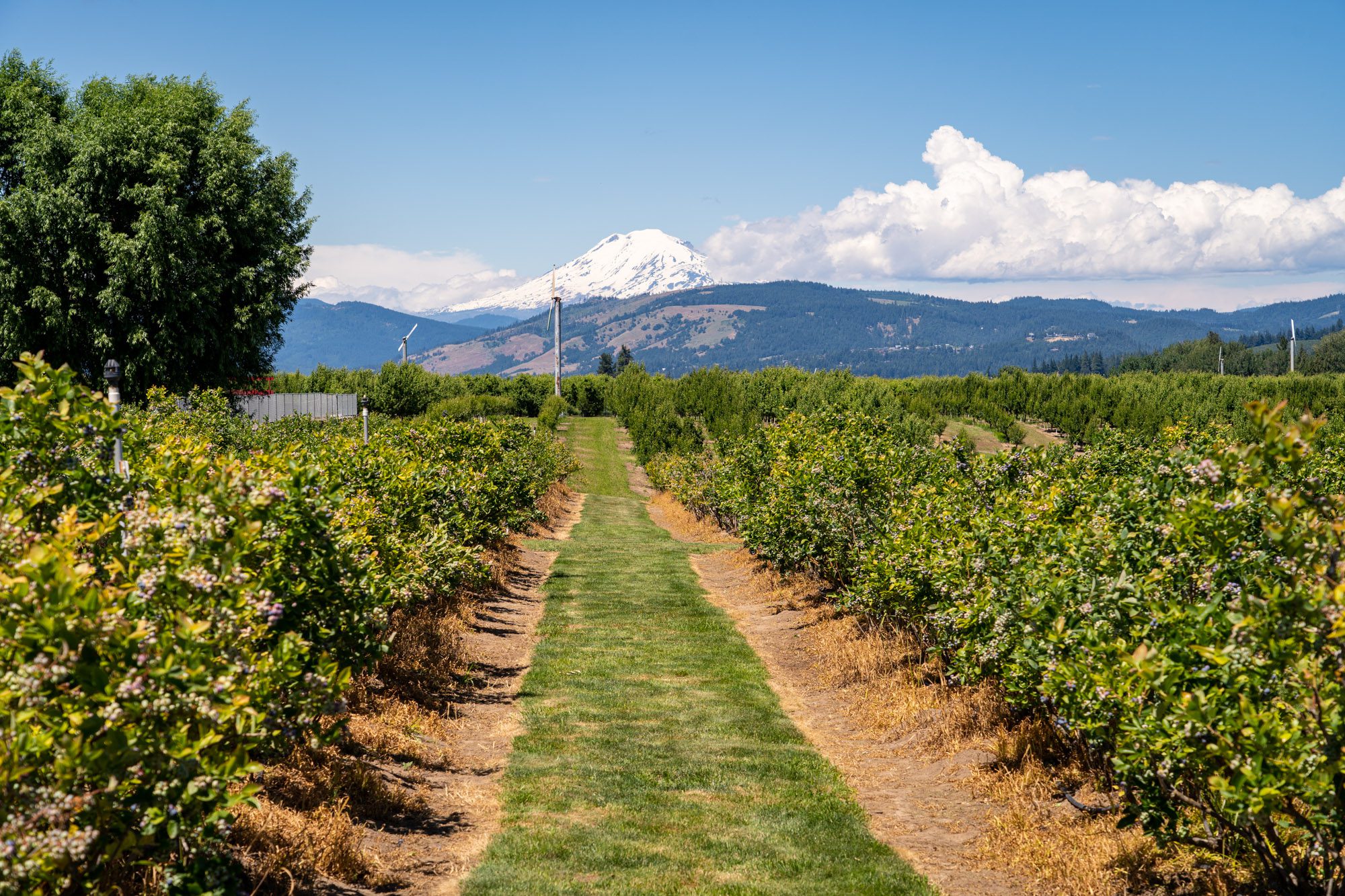 How to Plan an Amazing Portland to Bend Road Trip