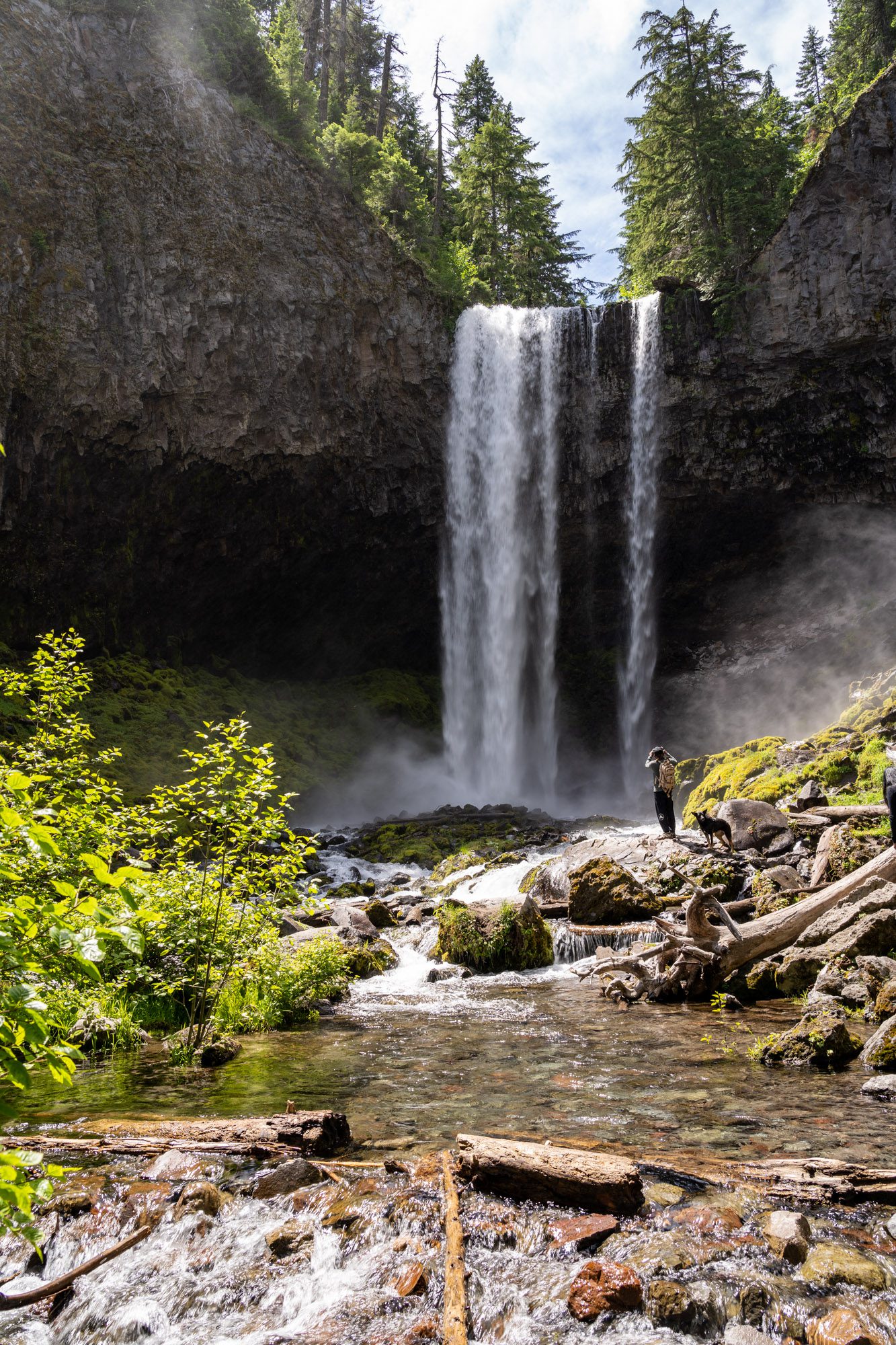 15 Spectacular Waterfalls In Oregon To Explore Now